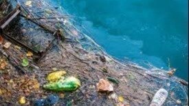 Petition · Implement Environmental Reforms in Our Local Area - Ithaca ...