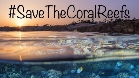 Petition · Save the coral reefs before it’s too late! - United States ...