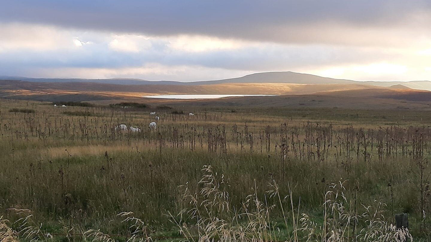 Petition · Dwedwch 'NA' i Barc Ynni Esgair Galed/Say "NO" to Esgair ...