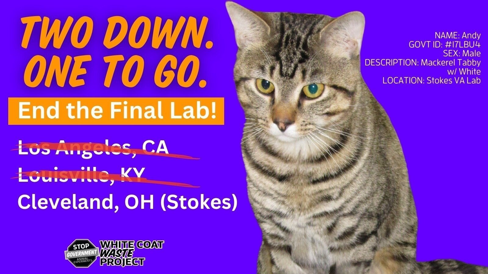 Petition update · Breaking News: Stokes Cat Lab Faces Federal Probe ...