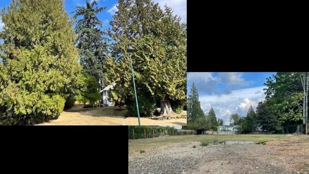 Petition · Stop Clear Cutting on Yarrow Point - United States · Change.org