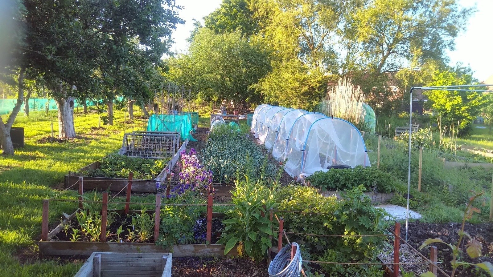 Petition · Crops not Shops - Lincoln, United Kingdom · Change.org