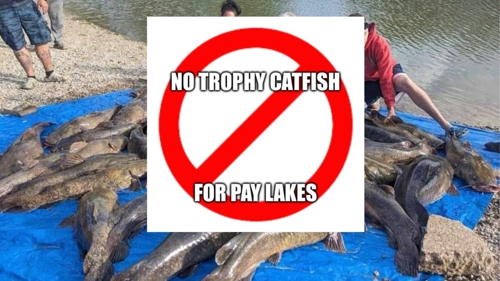Petition · No Trophy-Sized Catfish Taken From Public Water To Pay Lakes ...