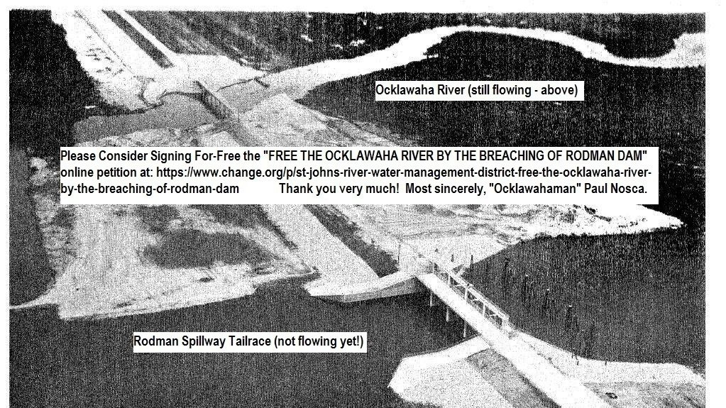 Petition update · Comment from a sincere supporter of retaining Rodman ...