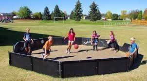 Petition · Make Gagaball An Olympic Sport - United States · Change.org