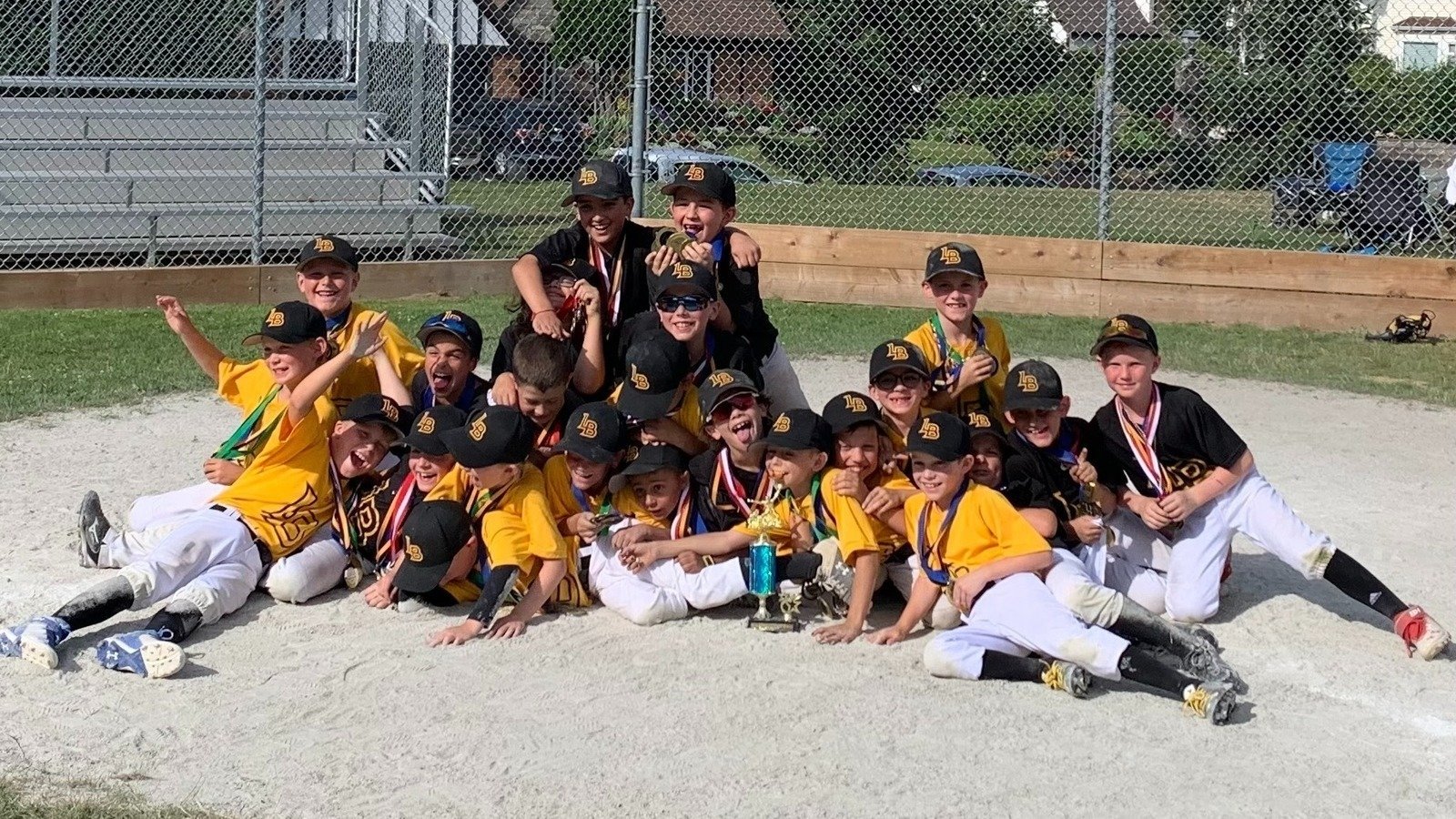 Petition · More opportunities for summer baseball for Langley Baseball ...