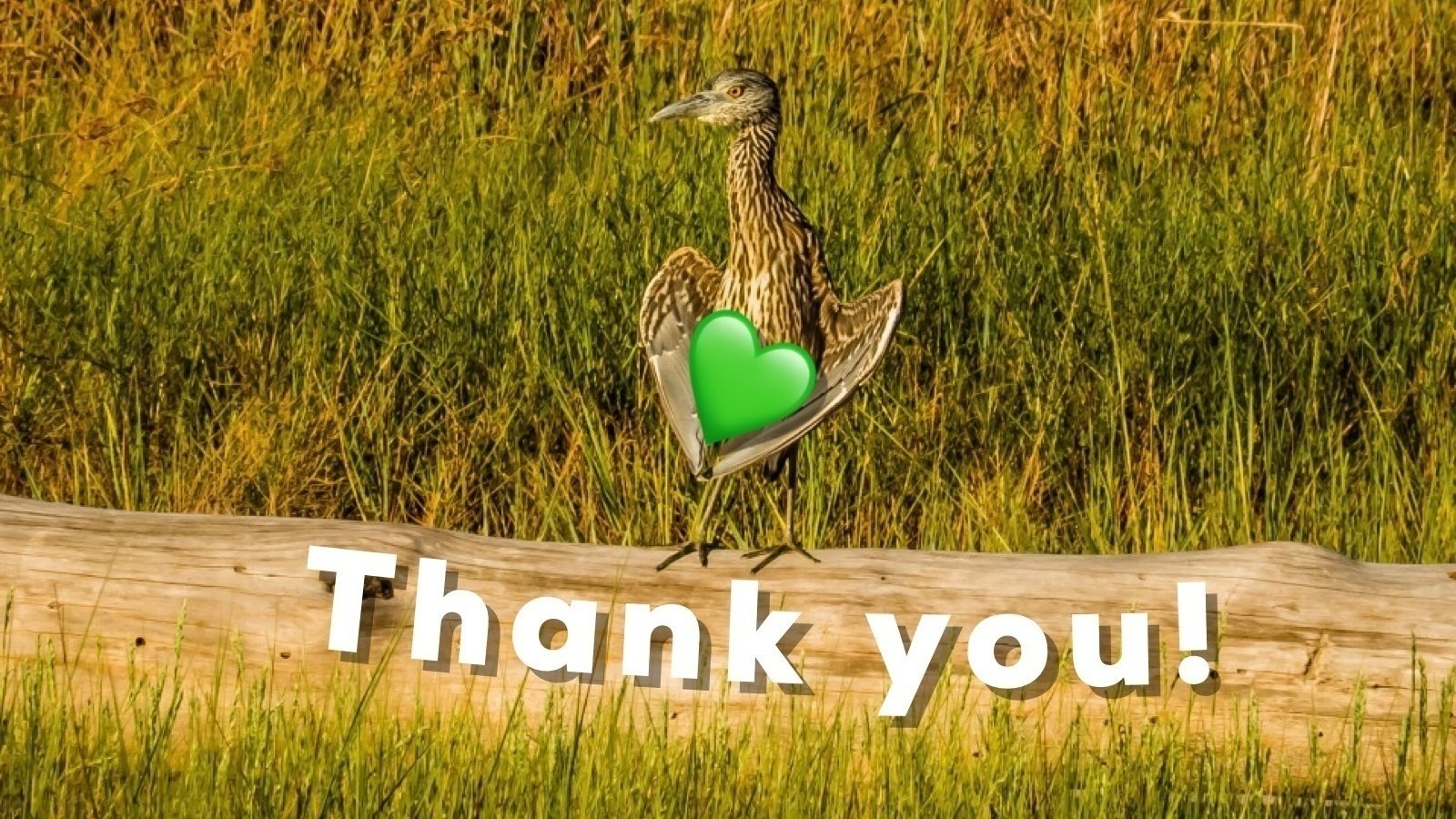 Petition update · Thank you for 600 ! · Change.org · Change.org