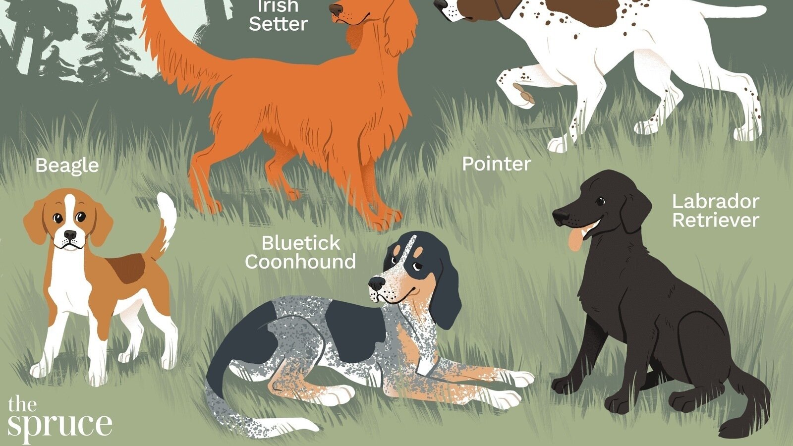 Petition · Permit Hunting Dogs in National Forests - United States ...