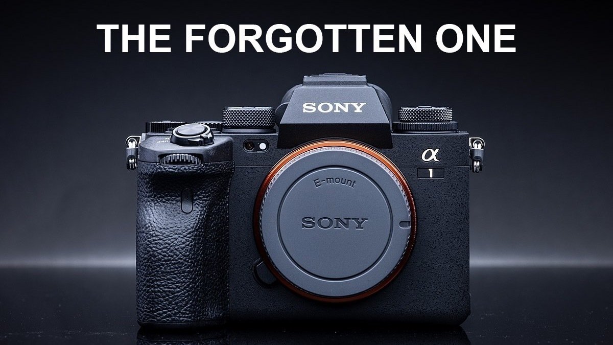 Petition · Sony Alpha more functionality with firmware updates. - Italy ...