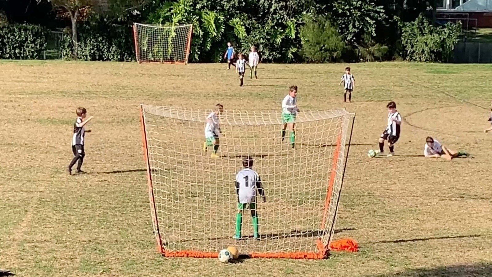 Petition · Ryde Council - Time to Invest in Synthetic Pitches for ...