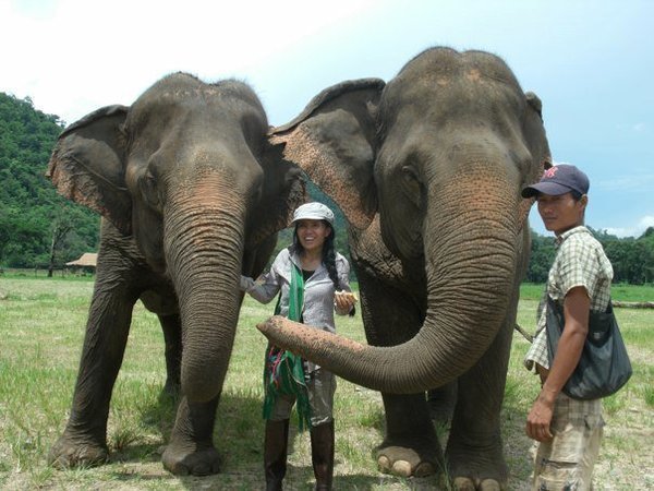Petition · Please help Lek save her Elephants! - Australia · Change.org