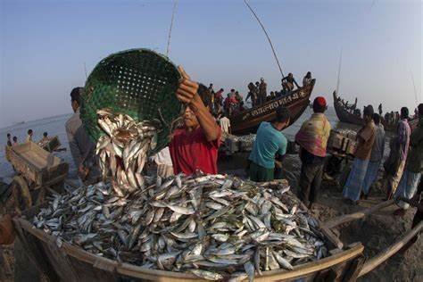 Petition · Stop Throwing Dead Fish Back in The Ocean - United States ...