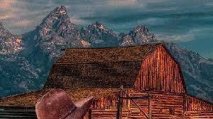 Abaixo-assinado · Criar um personagem COWBOY no LoL ( League Of Legends ...