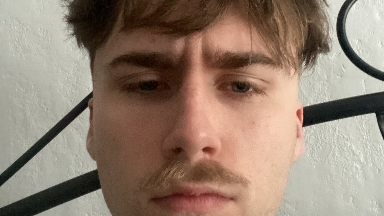 Petition · Support Alex Boyle as an Independent Candidate for NI ...