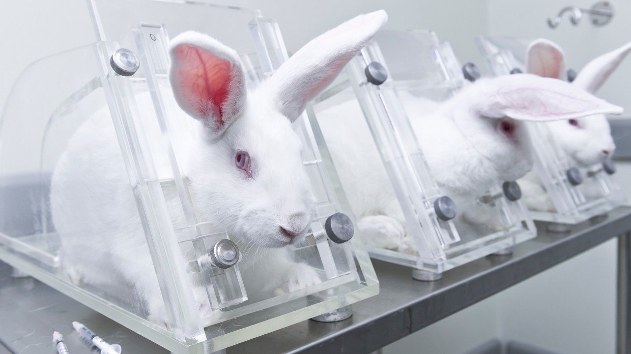 Petition · Eliminate animal testing - Saudi Arabia · Change.org