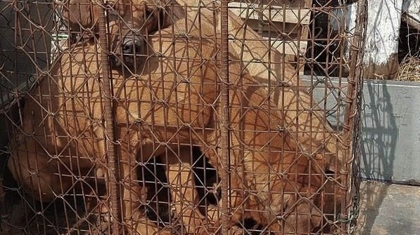 Petition update · Response from Incheon Ongjin-gun received. · Change ...