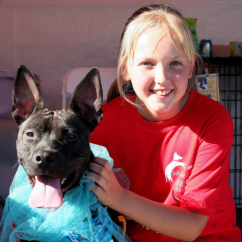 Petition · Taylor Police Should Enforce the Law: Prosecute Joseph Rye ...