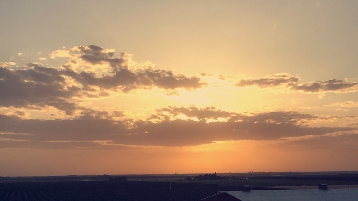 Petition · Get rid of the sun. Now. - United States · Change.org