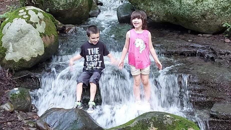 Petition · Save Chase and Liberty for JUSTICE - United States · Change.org