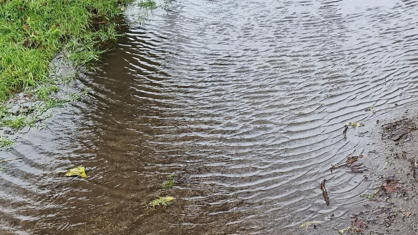 Petition · Call for Notts County Council to deal with urgent flooding ...