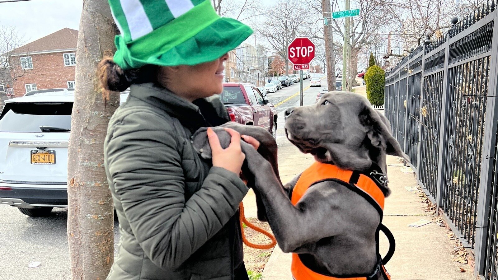 Petition · Mandate Equal Medical Rights for Pets- Justice for KING ...