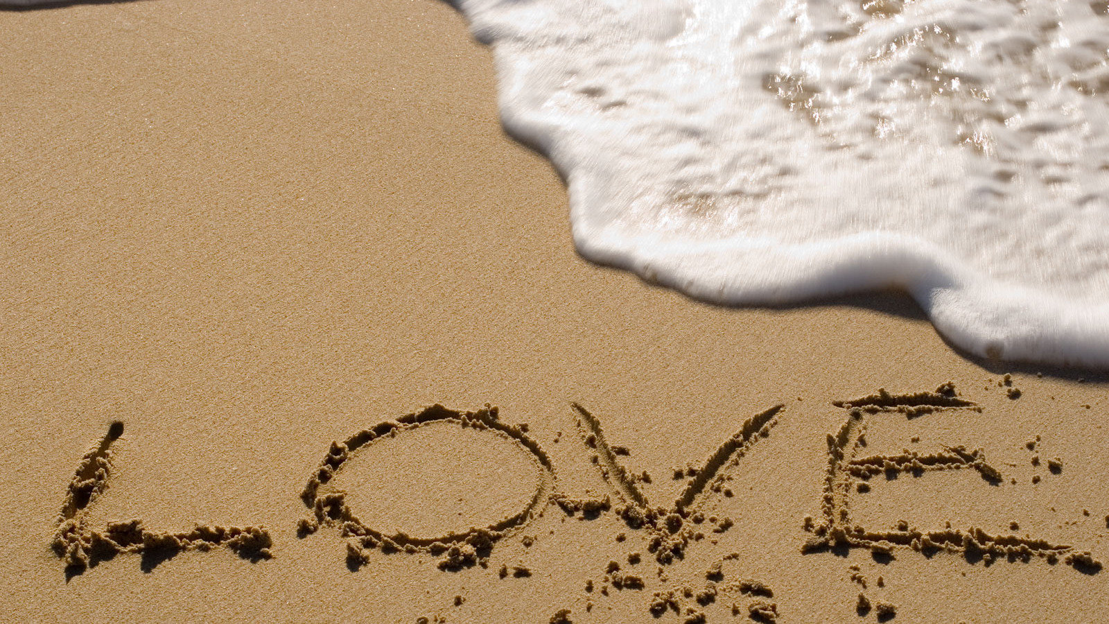 Petition · Equal love for all! We demand marriage rights. - Australia ...