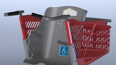 Petition · Have Caroline's Carts available for special needs children ...