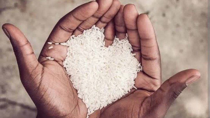 Petition · Helping Hands For Hungry Humans - India · Change.org
