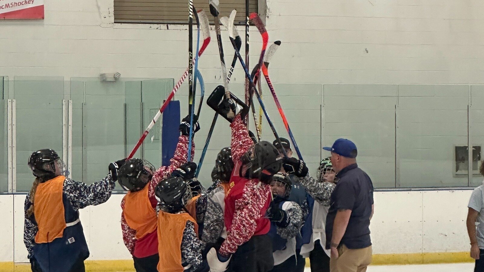 Petition · Keep the Centre Ice Rink Open at the Delaware State Fair ...