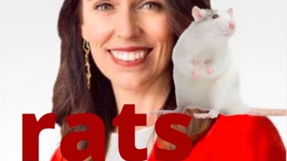 Petition · To make everyone realize that the NZ government are just a ...