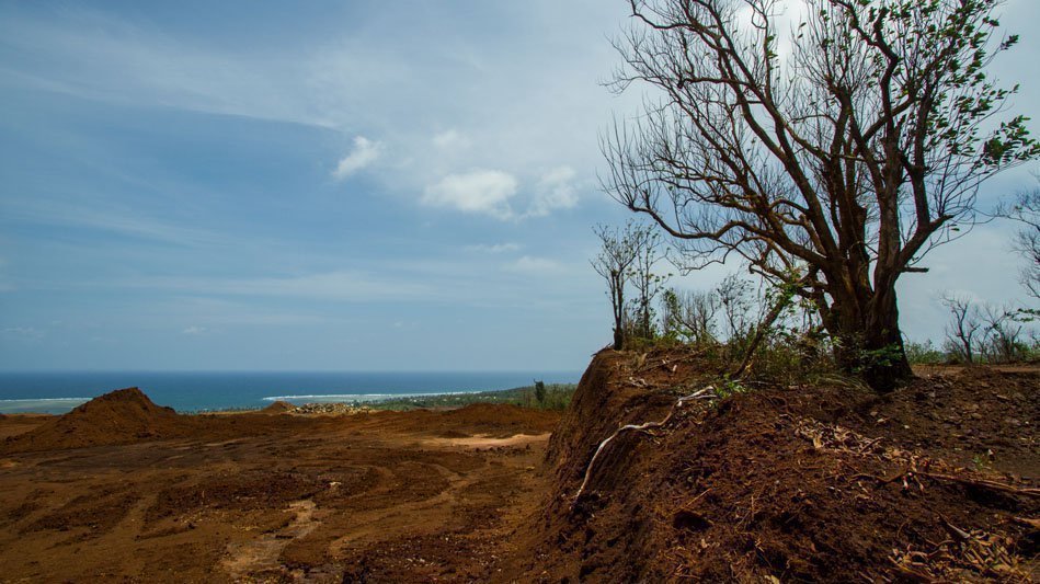 Petition · Protection of Homonhon Island, Protection to Endagered ...