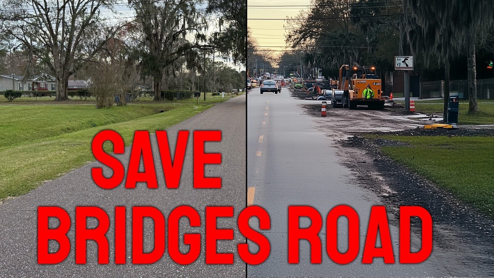 Petition · SAVE BRIDGES ROAD - Jacksonville, United States · Change.org