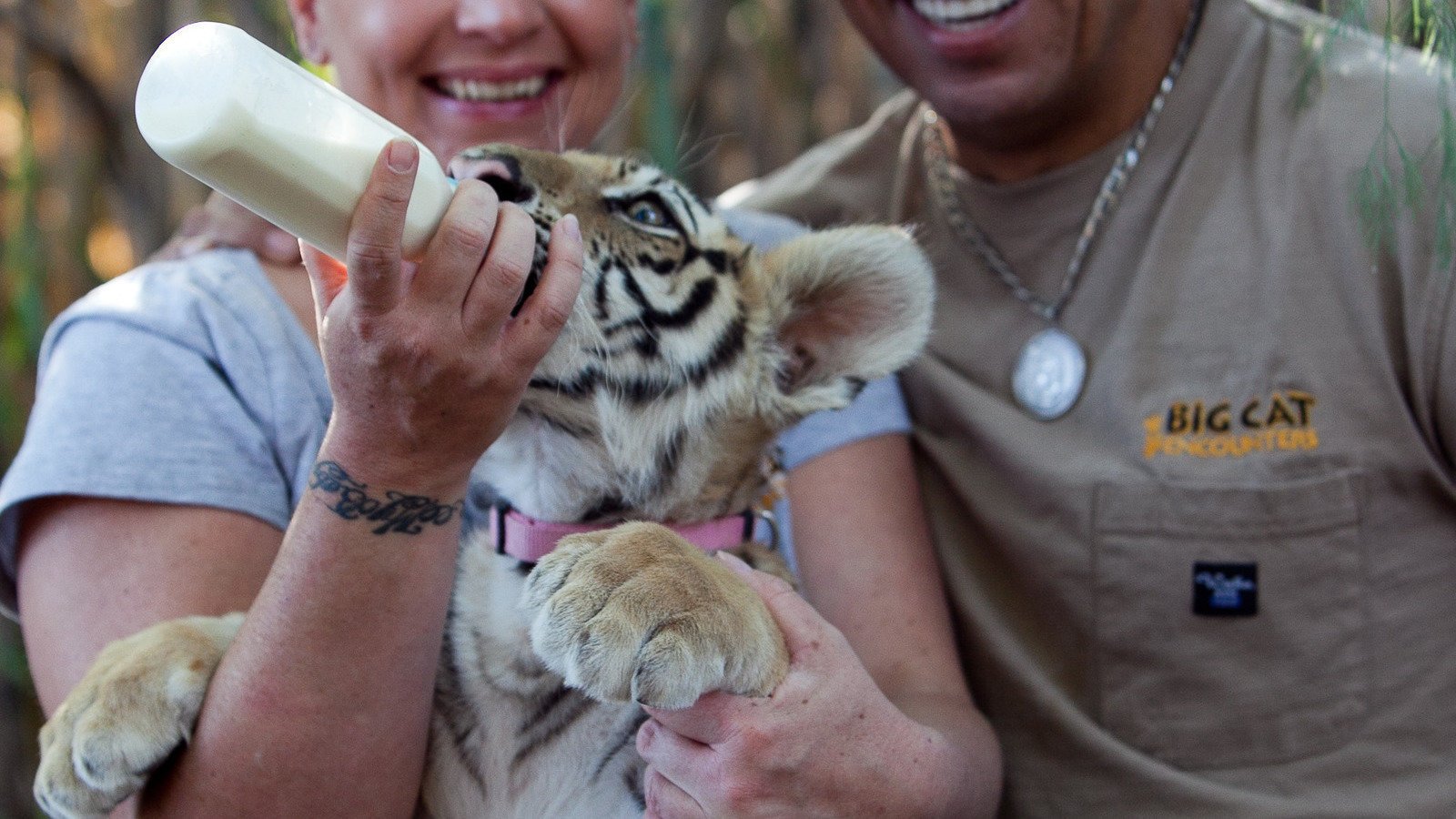 Petition · SAVE THE TIGERS!!!! - United States · Change.org