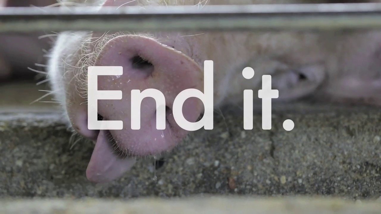 Petition · End factory farming - United Kingdom · Change.org