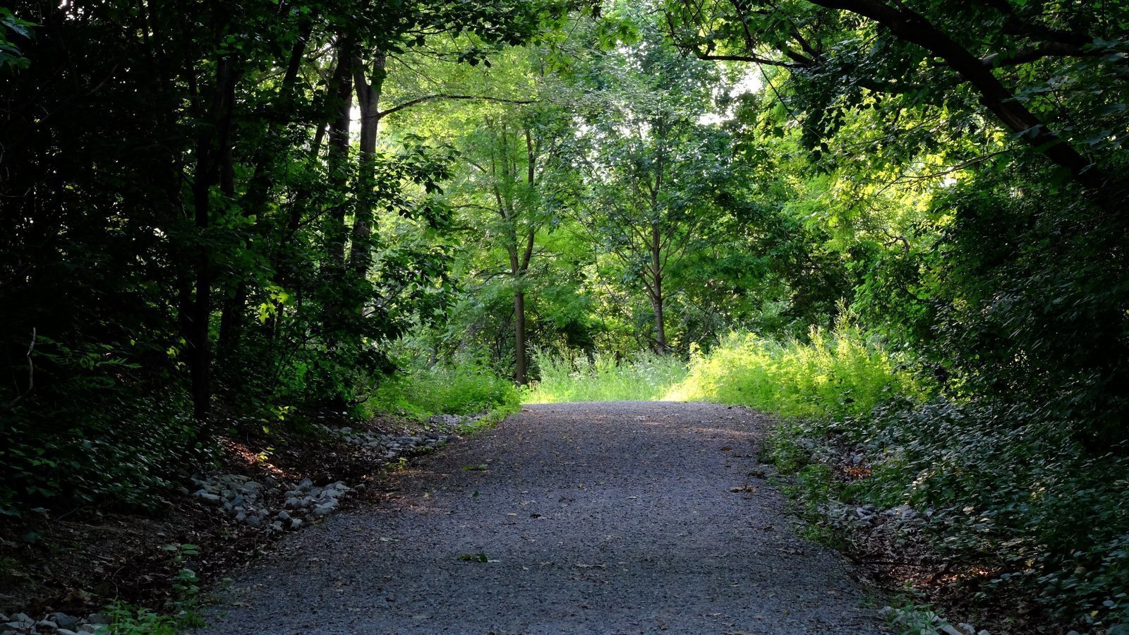 Petition · Adequately Fund the Toronto Ravine Strategy in the 2019 ...