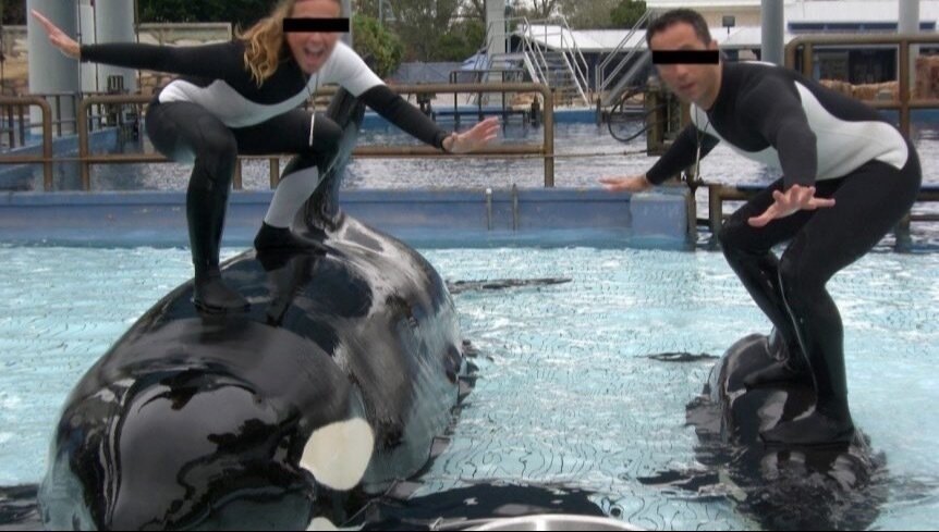 Petition · Stop Funding Seaworld. - United States · Change.org