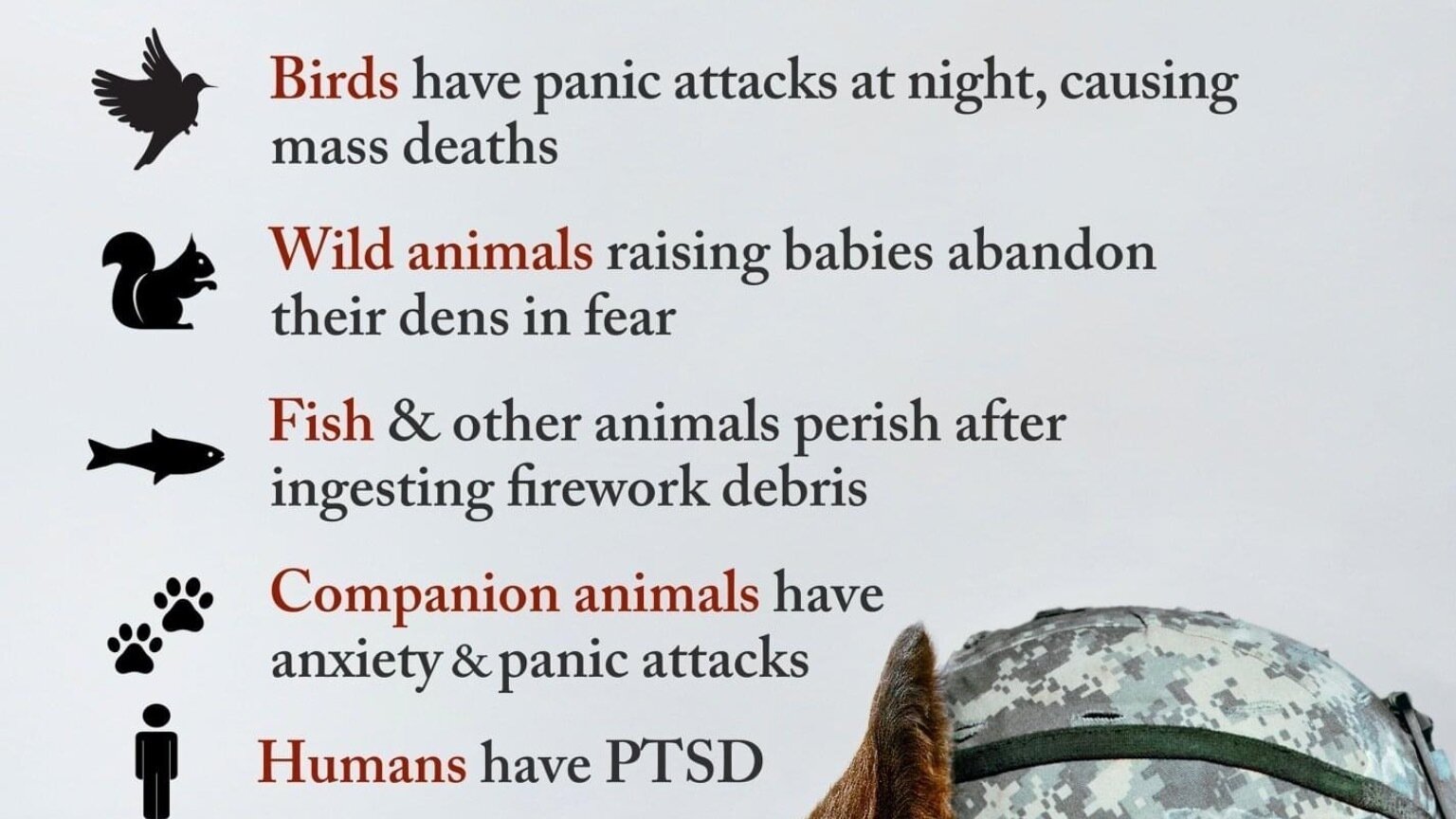 Petition · Ban Fireworks to Protect Our Environment, Wildlife, Veterans ...