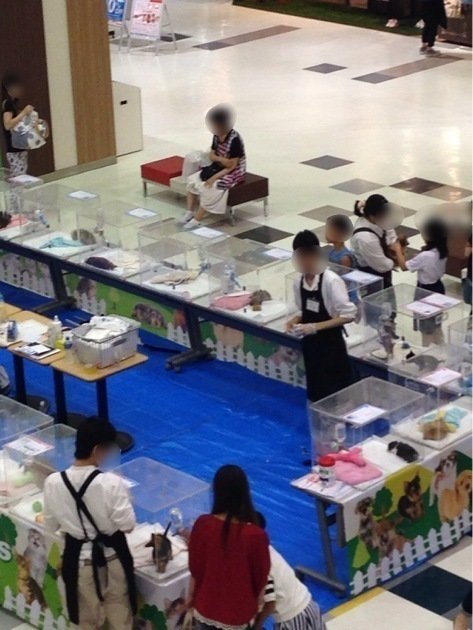 Petition update · 2000名達成！ご署名有難うございます！ · Change.org · Change.org