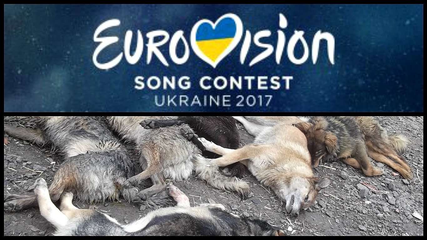 Petition · Killing of street dogs for the EUROVISION Song Contest 2017 ...