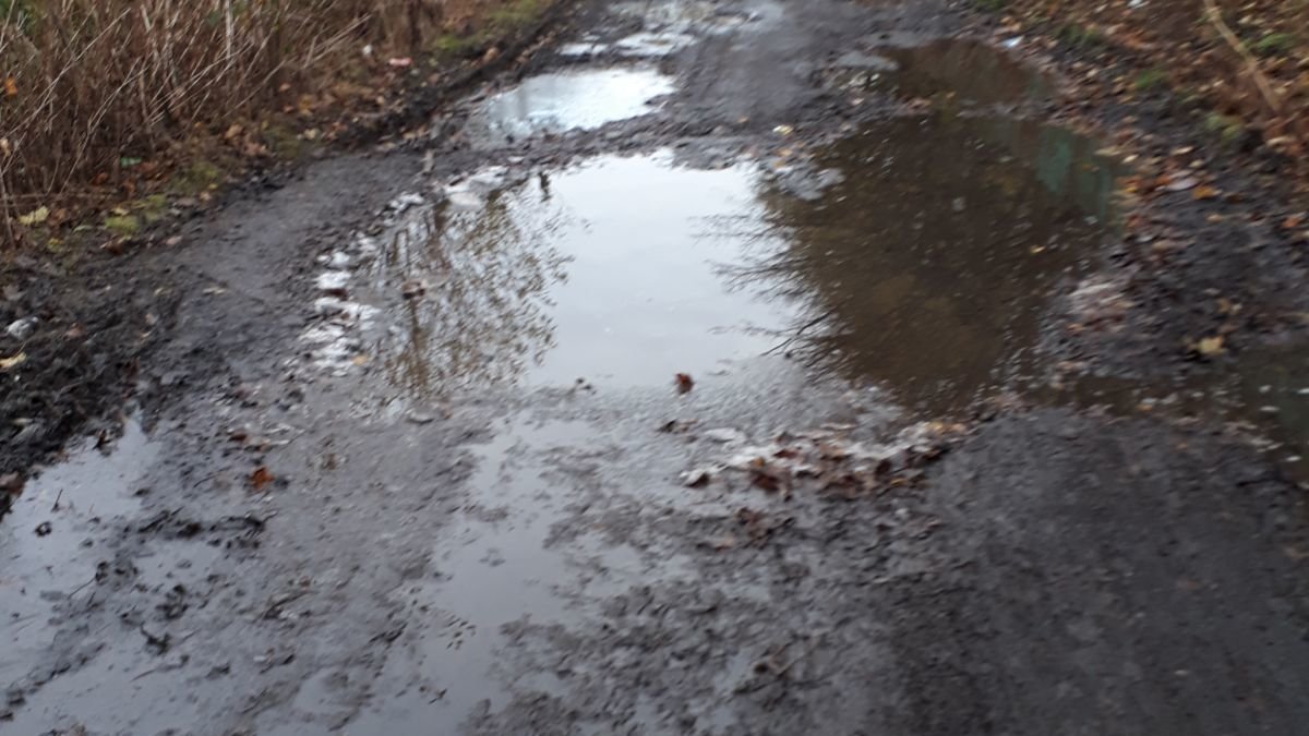 Petition · Save our Lane · Change.org