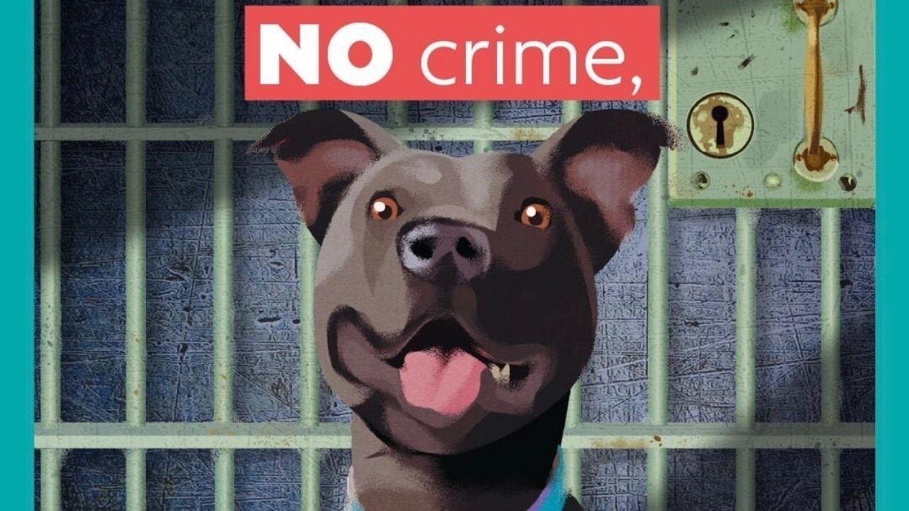 Petition · End BSL Now! Stop the Unjust Killing of Innocent Dogs ...