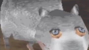 Petition · Rat not food only friend - United States · Change.org