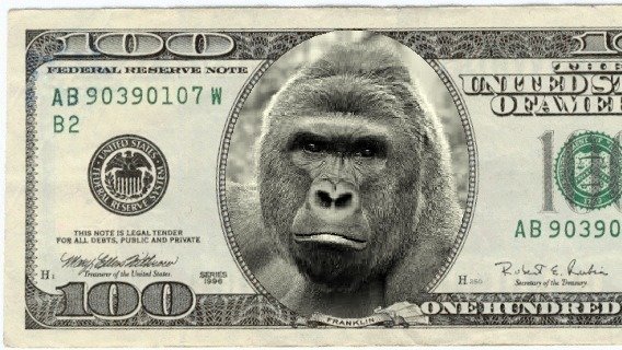 Petition · Put Harambe on the $100 Bill - United States · Change.org