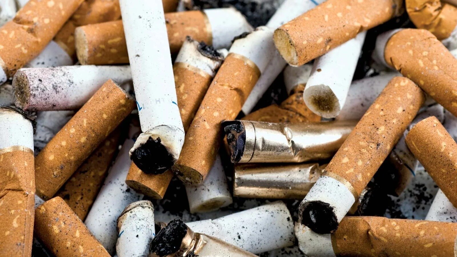 Petition · Banning Smoking - Australia · Change.org