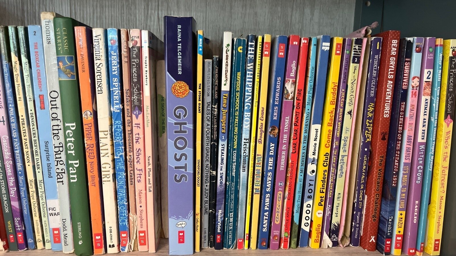 Petition · Transform Brigham City Library into a County Library ...