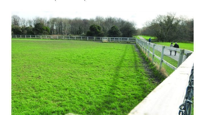 Petition · Build a dog playground in Maynooth - Croatia · Change.org