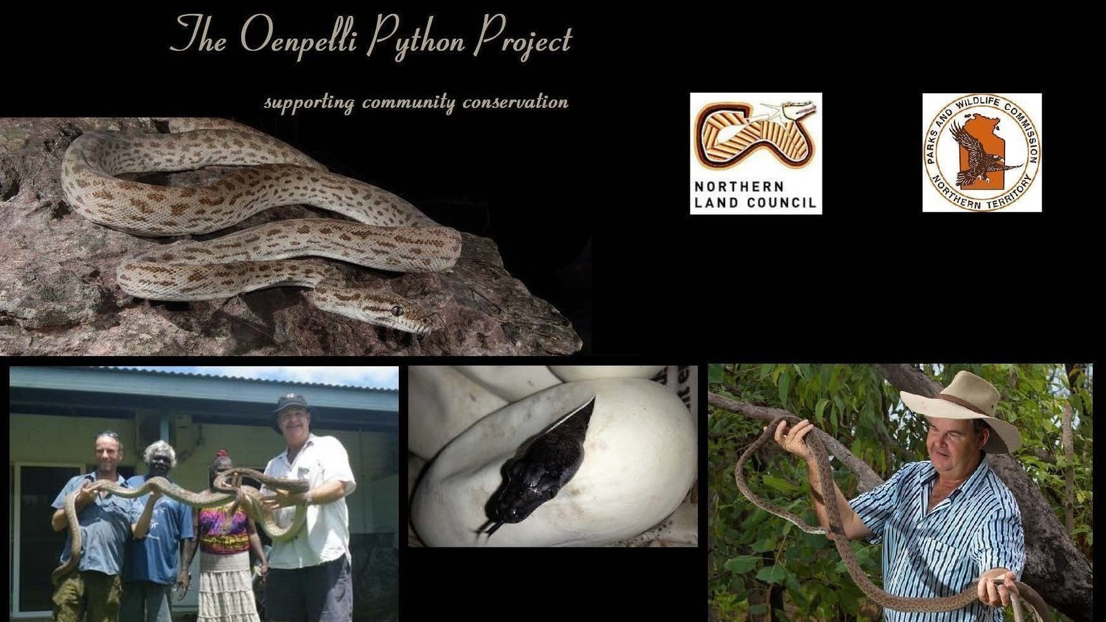 Petition · Oenpelli Python Community Conservation Project - Australia ... Petition · Oenpelli Python Community Conservation Project - Australia ...