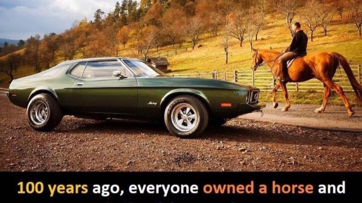 Petizione · Place a lane for horses alongside the roads so that you can ...