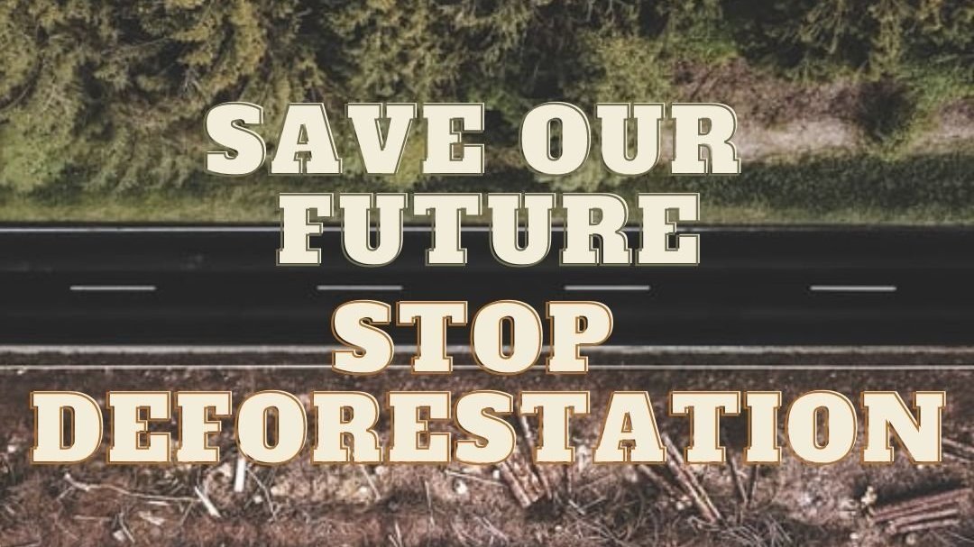 Petition · Save our Future, Stop Deforestation - Philippines · Change.org