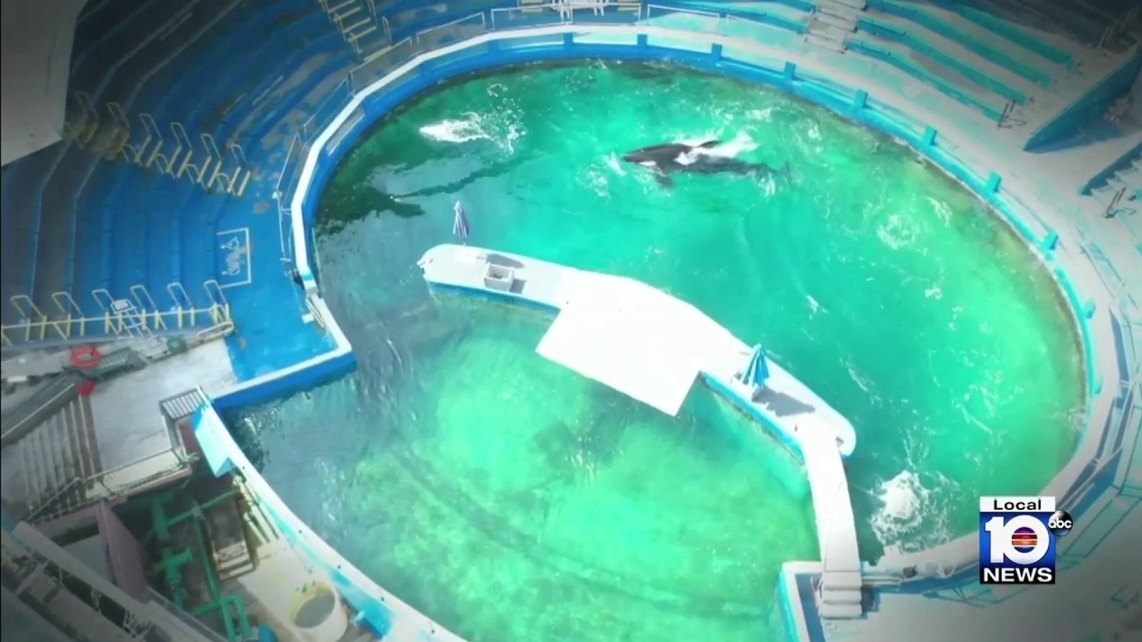 Petition · Close Miami Seaquarium - United States · Change.org